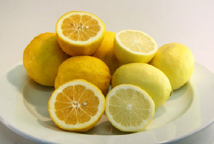 Lemon Yen Ben - Fronds New Zealand, suppliers of native New Zealand ...